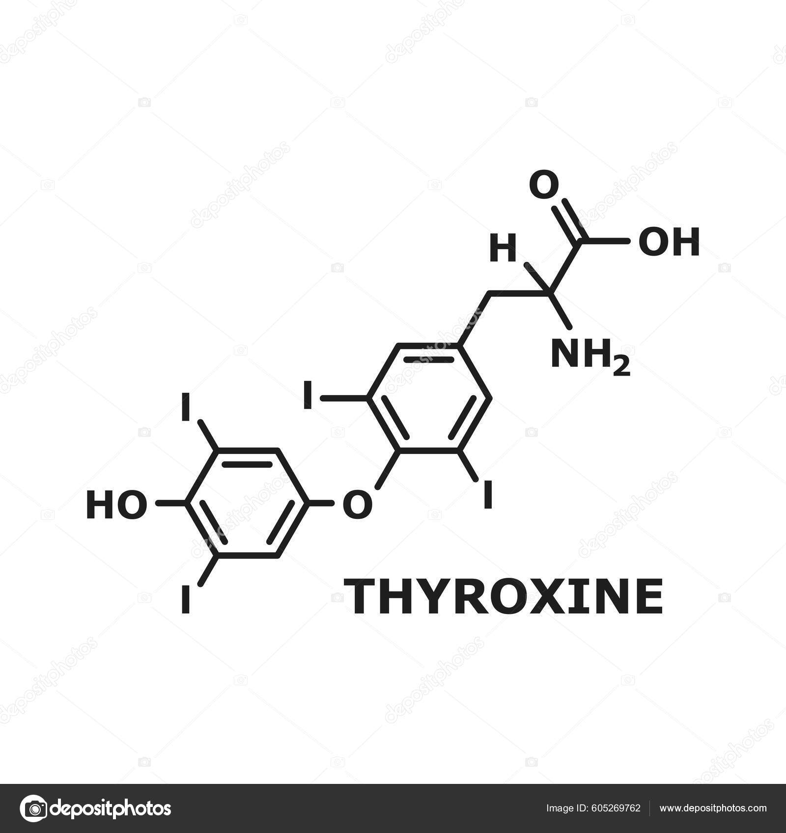 Thyroxine Levothyroxine Thyroid Hormone Isolated Chemical Molecule ...