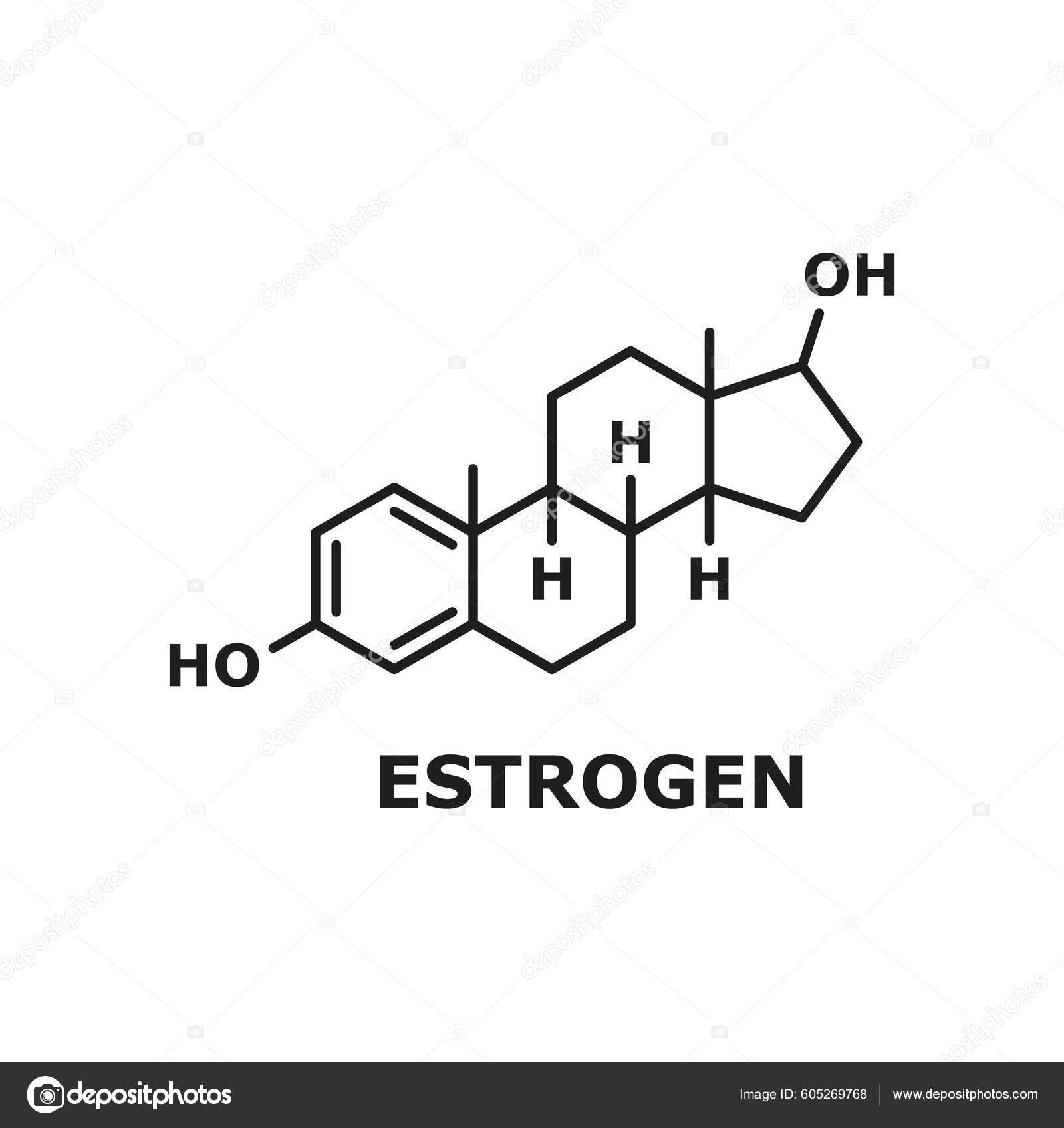 Chemical Formula Estrogen Molecular Structure Line Art Design Element ...