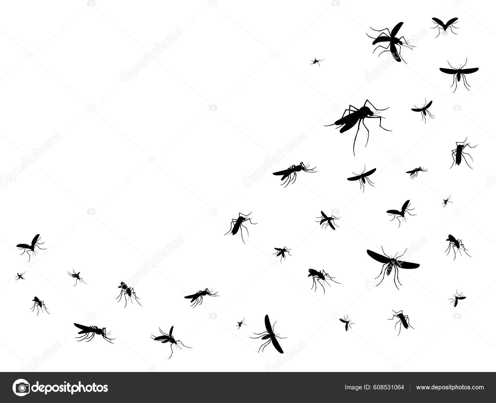 Mosquitos Voladores Aislados Siluetas Negras Insectos Vector Plaga ...