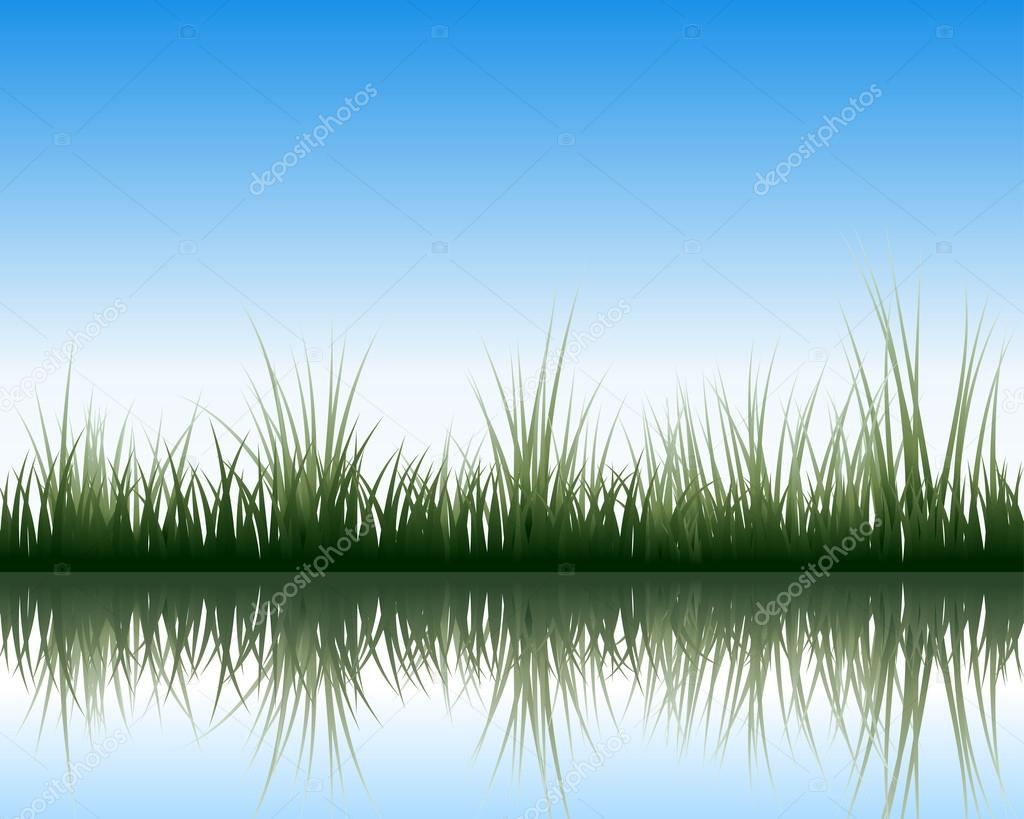 Meadow with reflection Stock Vector Image by ©angelp #12505391