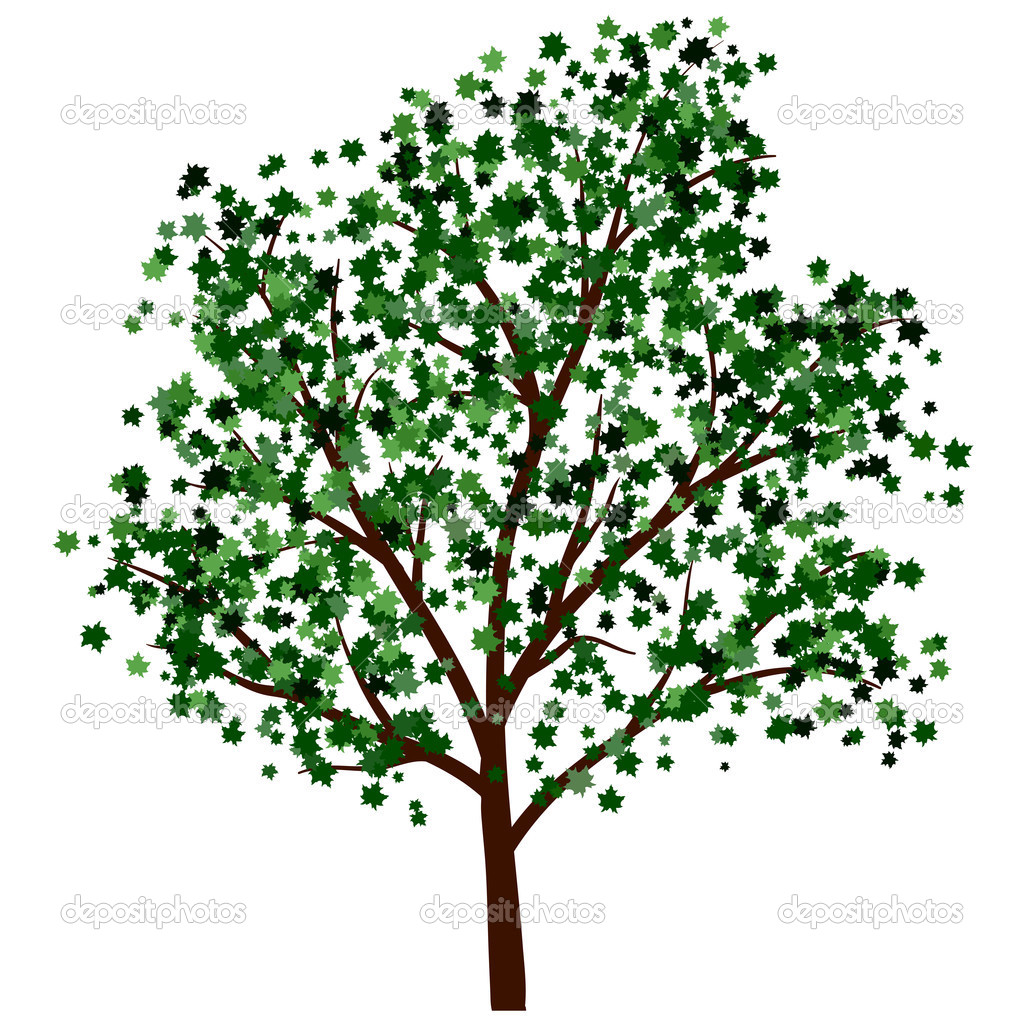 Summer tree Stock Vector Image by ©angelp #25511389