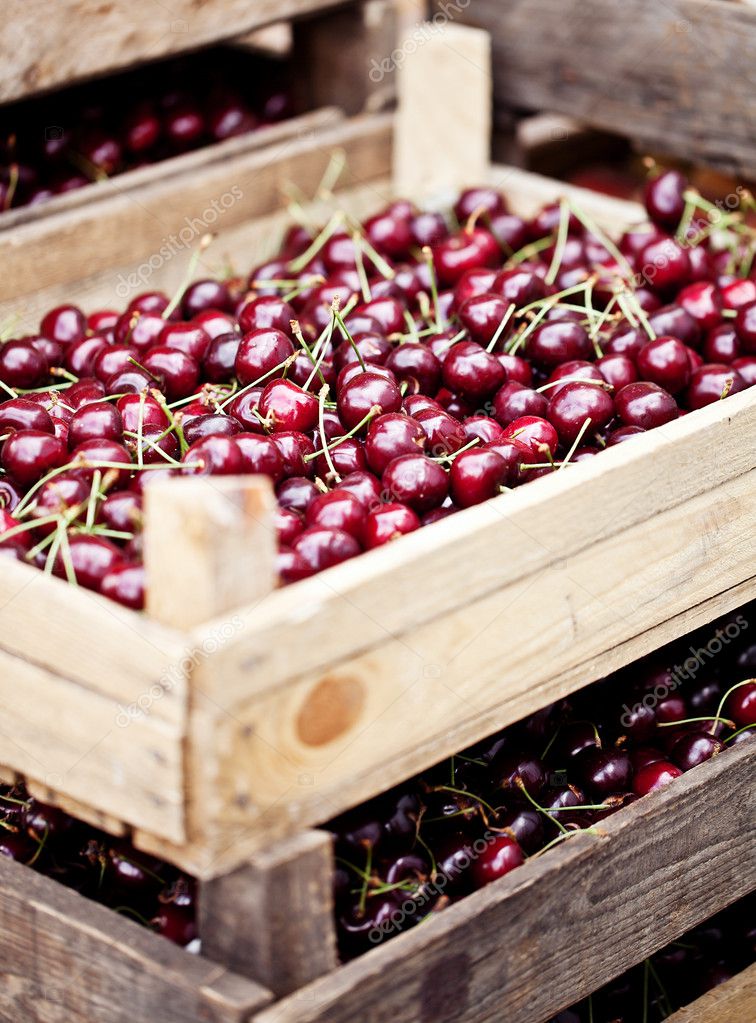 Cherries in boxes at street market Stock Photo by ©april_89 49647979