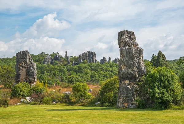 Stone forest Stock Photos, Royalty Free Stone forest Images | Depositphotos