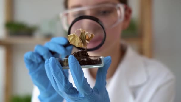 5,176 Análisis de medicamentos Videos, Royalty-free Stock Análisis de ...