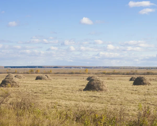 Sláma pole panorama Stock Photos, Royalty Free Sláma pole panorama ...