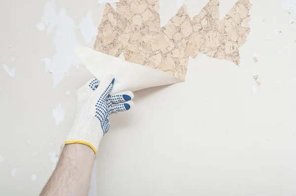 Hand removing wallpaper from wall Stock Photo by ©inxti74 36777099