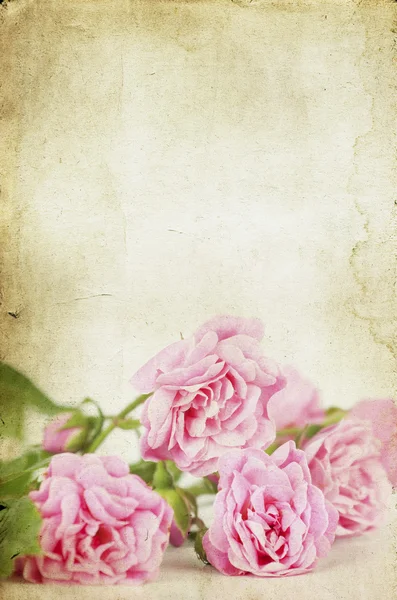 25,983,388 imágenes de Rosas rosadas libres de derechos | Depositphotos