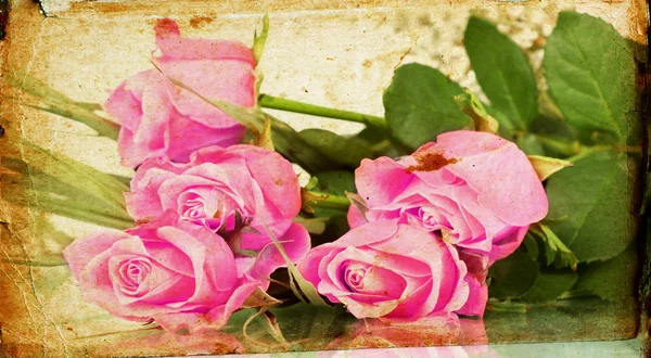 Vintage Roses Photography Wallpaper