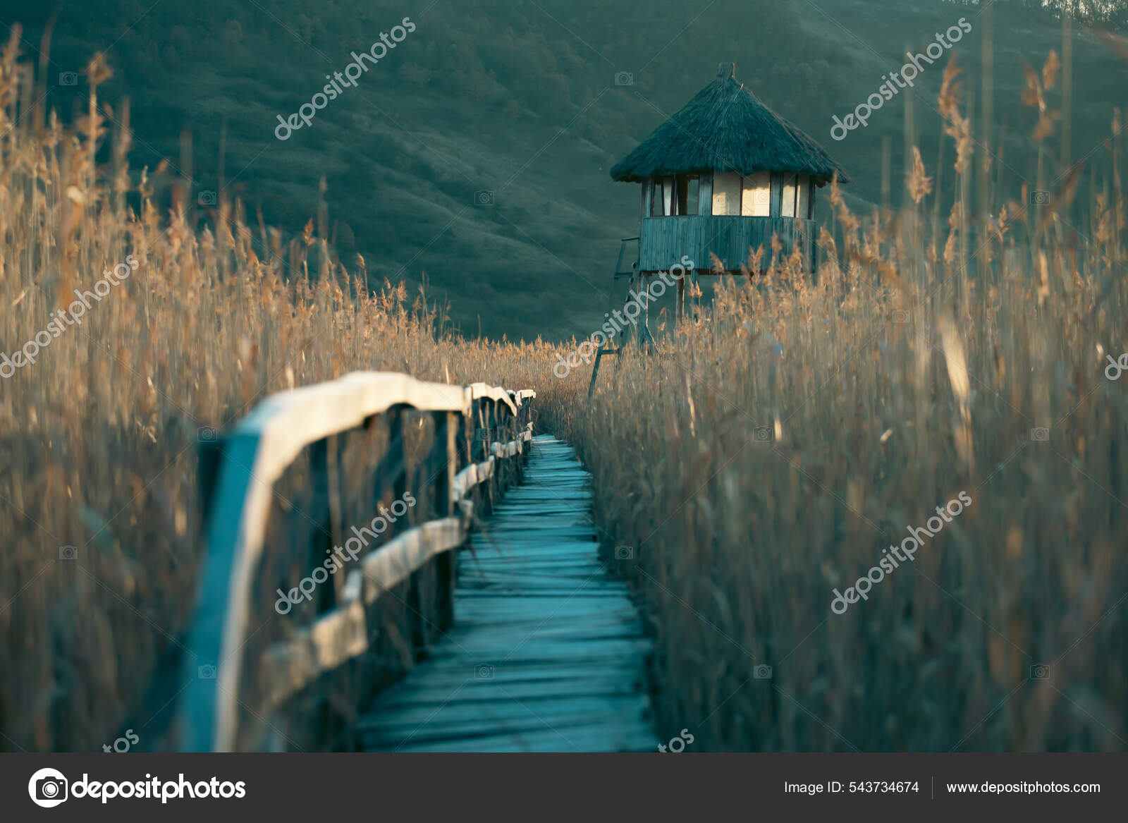 Old Wooden Boardwalk Railing Side Watchtower Sic Reed Reservation Cluj ...