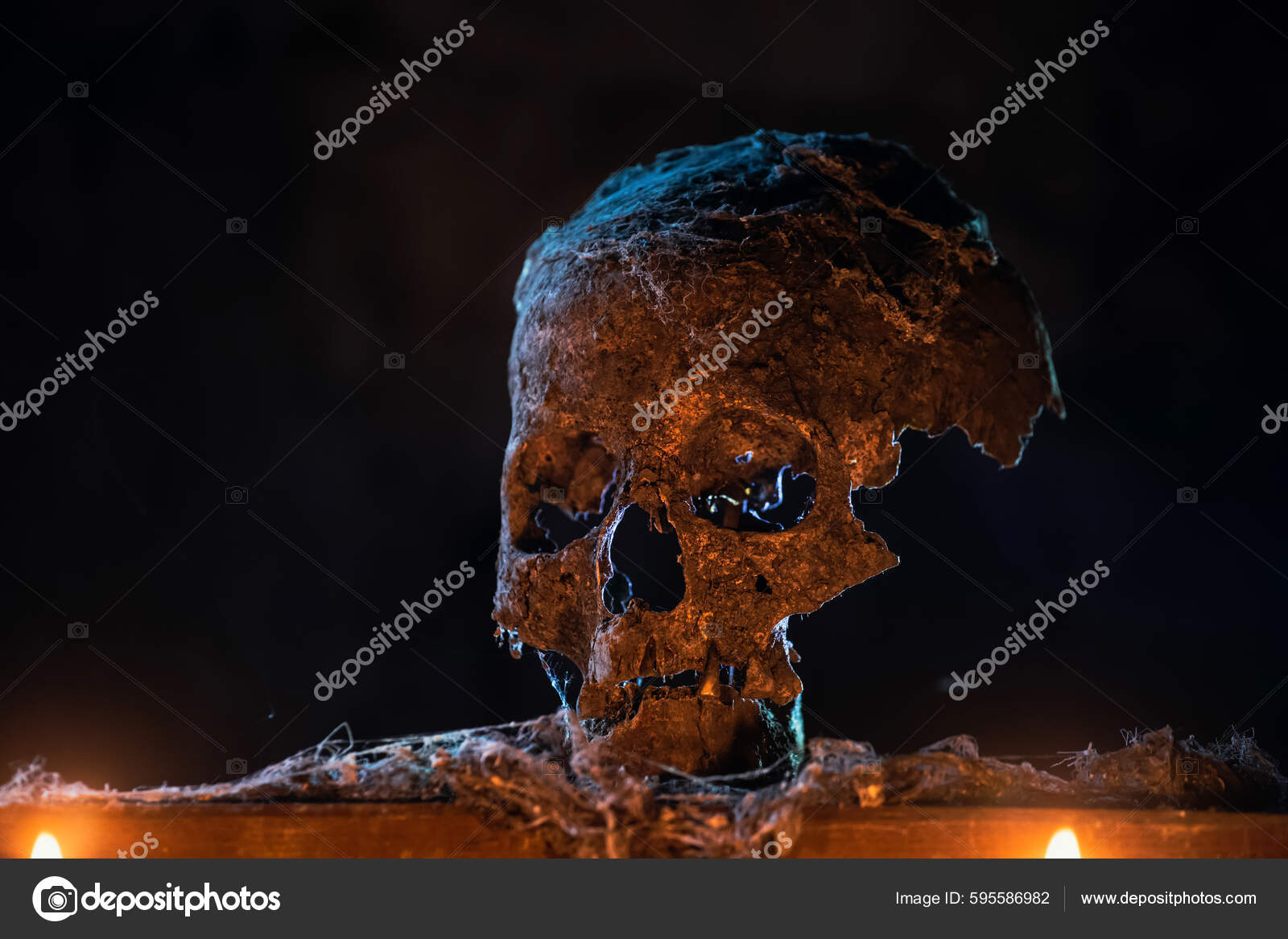 Real Human Skull Mysterious Foggy Light Spooky Horror Wallpaper ...