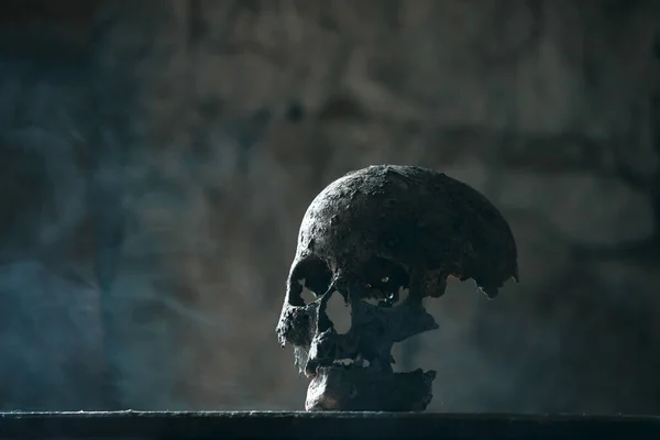 Real Human Skull Mysterious Foggy Light Spooky Horror Wallpaper ...