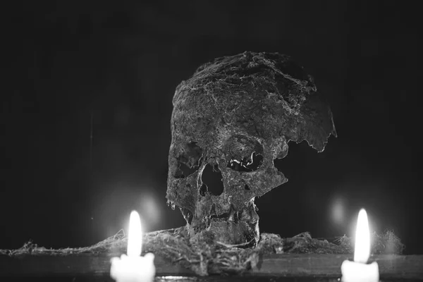 Real Human Skull Mysterious Foggy Light Spooky Horror Wallpaper ...