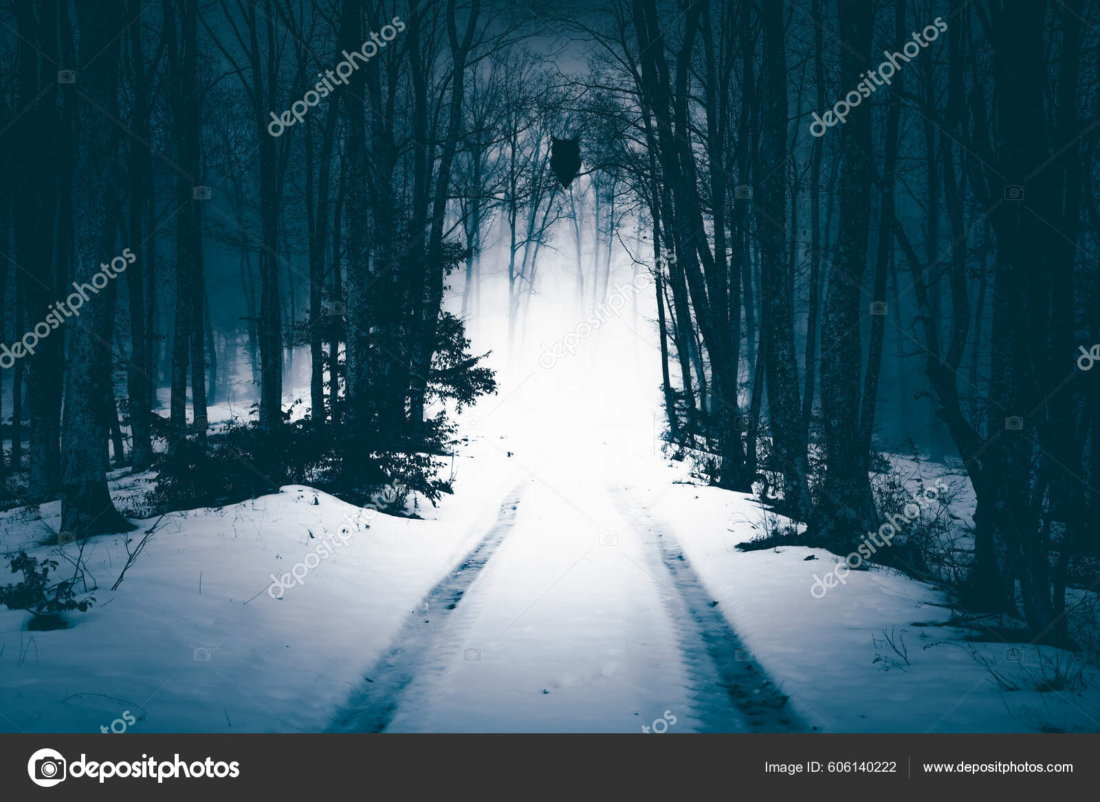 Owl Enchanted Forest Magic Mysterious Fog Night Stock Photo by ©erika8213 606140222