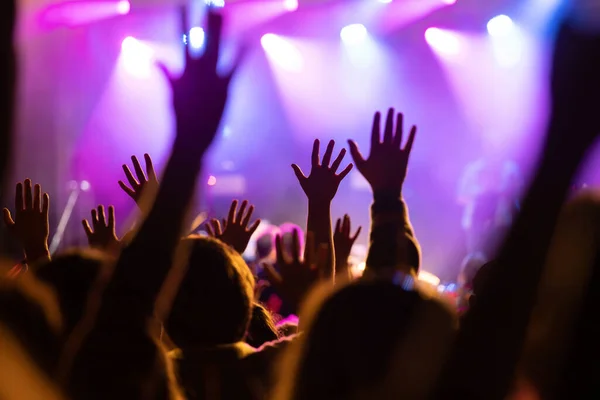 Crowd Of People With Hands Up