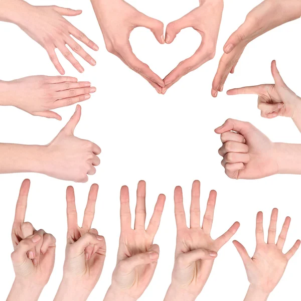 Set of many different hands Stock Photo by ©Kesu01 23158690