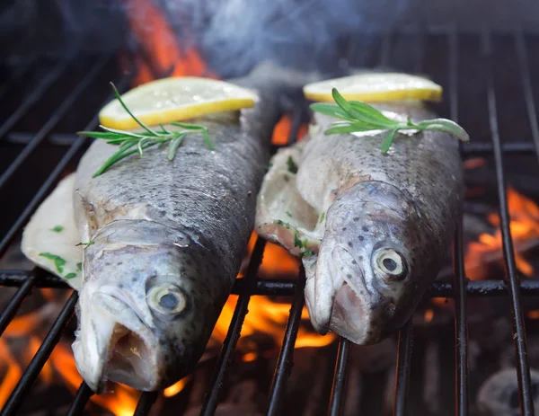 Fish on grill - Stock Image - Everypixel