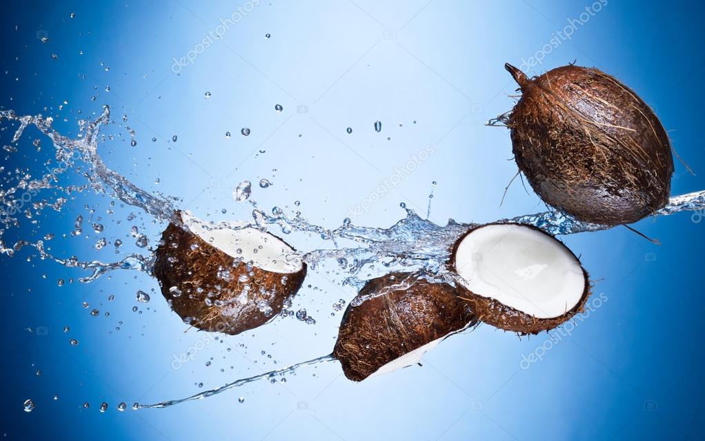 Cocos con agua salpicada 2022