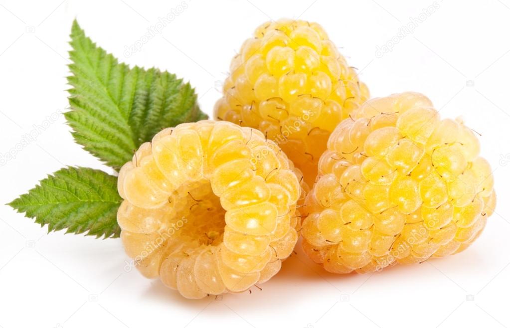 Yellow raspberries. — Stock Photo © Valentyn_Volkov #22465065
