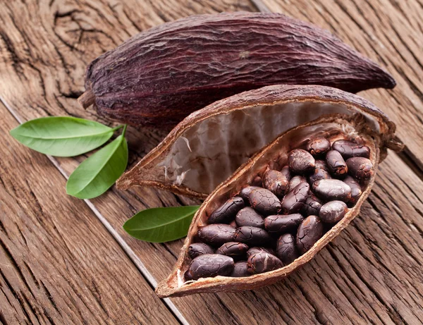 Cocoa pod — Stock Photo © Valentyn_Volkov #22751349
