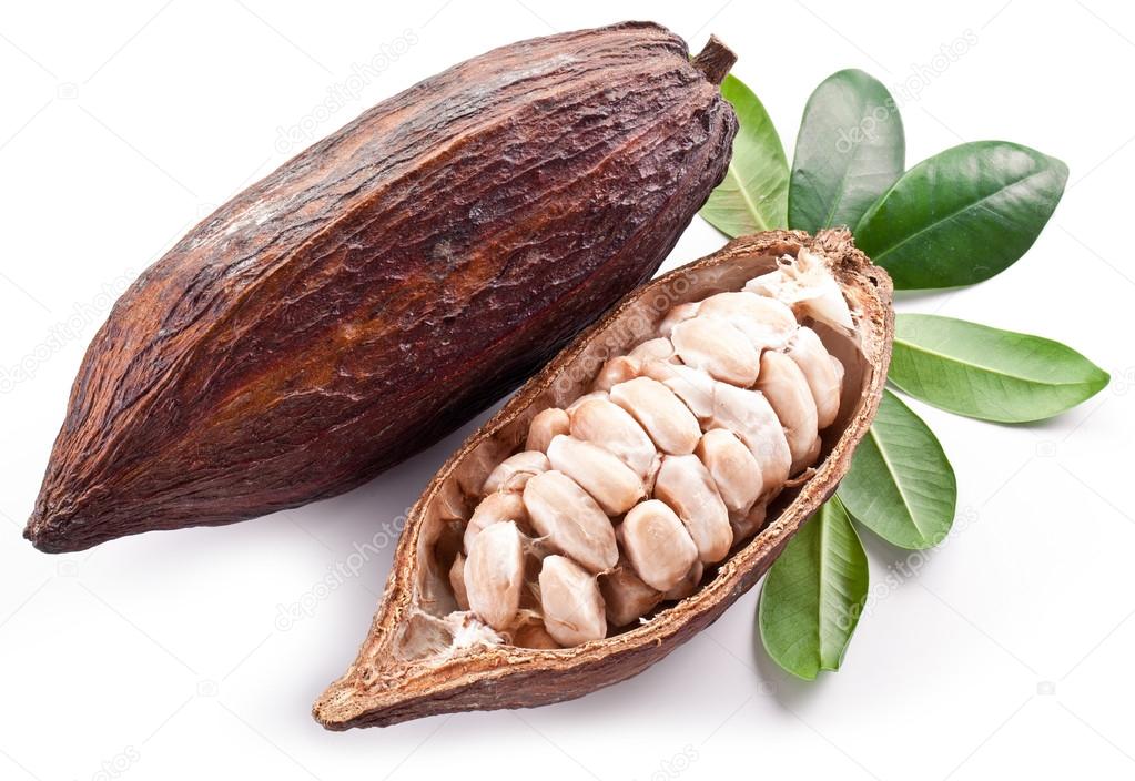 Cocoa pod ⬇ Stock Photo, Image by © Valentyn_Volkov #42522729