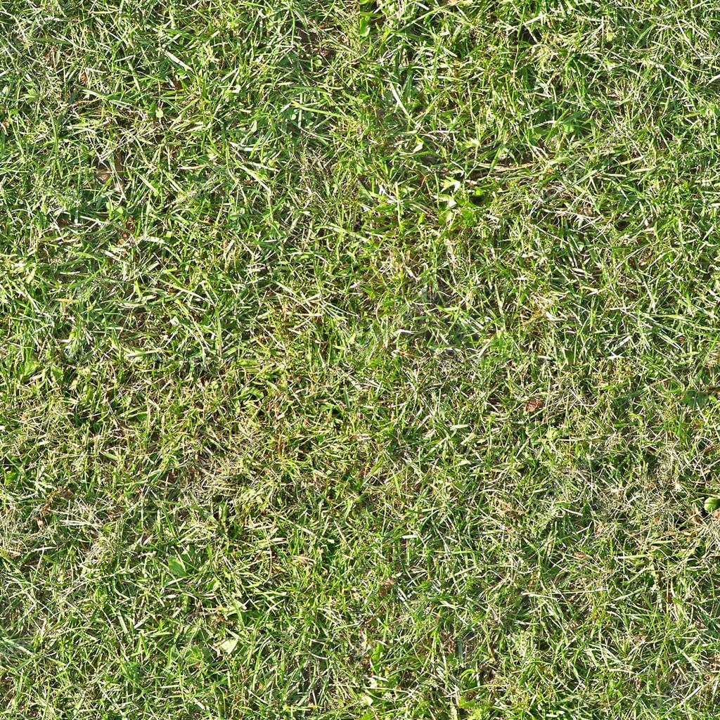 Textura de grama — Fotografias de Stock © mic1805 #13685613