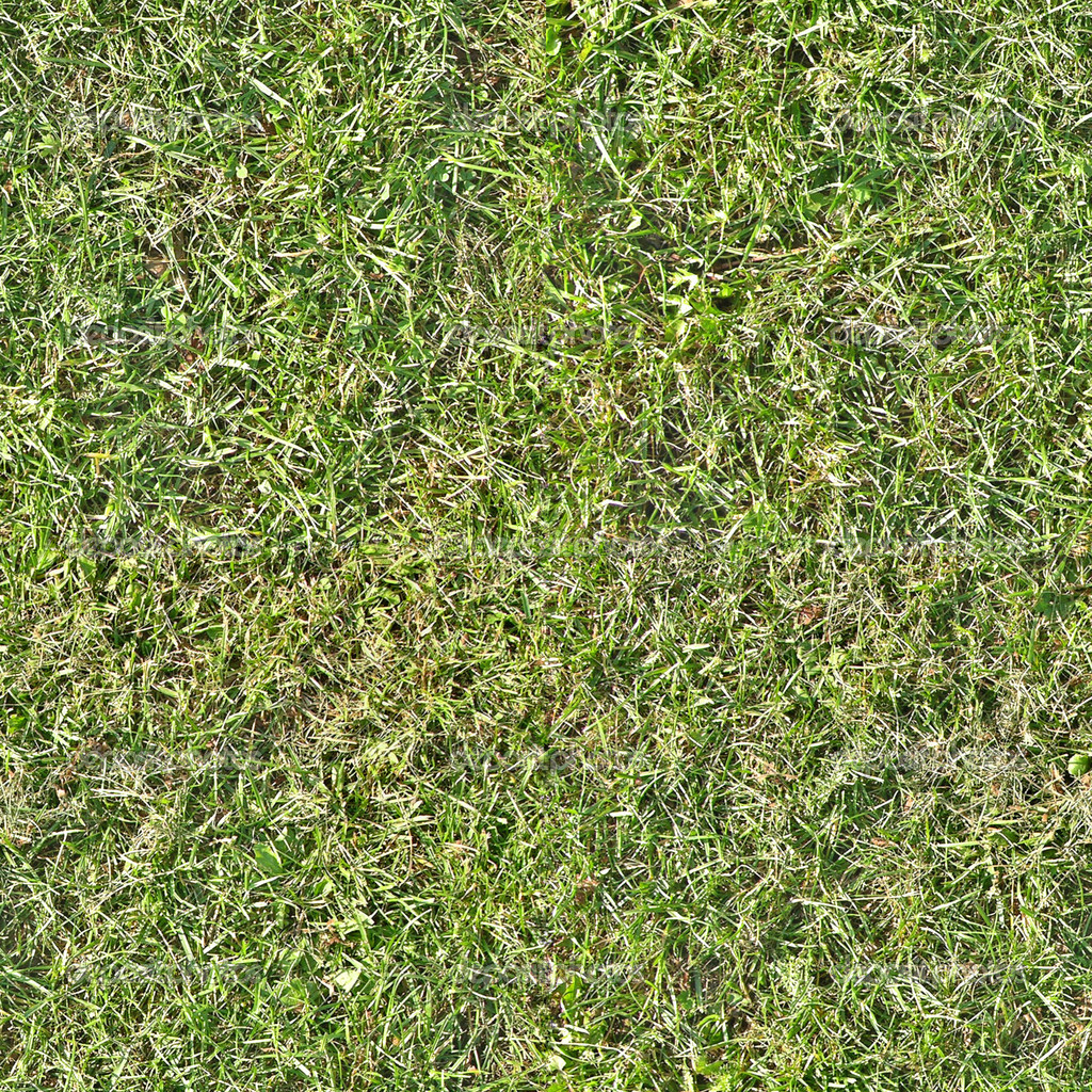 Texture de gazon image libre de droit par mic1805 © #13685613