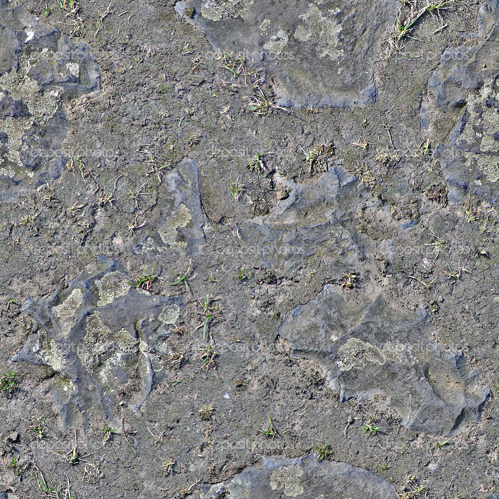 Ground Texture — Stock Photo © mic1805 #13685638