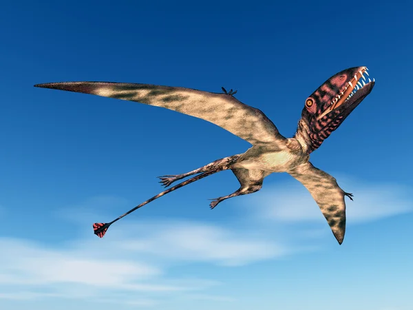 Flying Dinosaur Pteranodon Stock Photo by ©mic1805 13946128