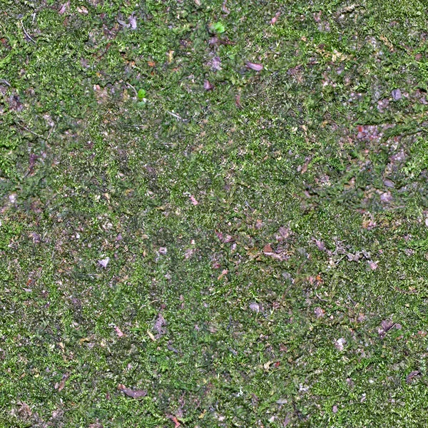 Ground Texture Stock Photo by ©mic1805 13825096