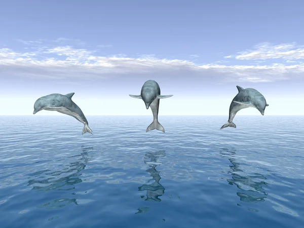 Jumping Dolphins — Stock Photo © mic1805 #29165467