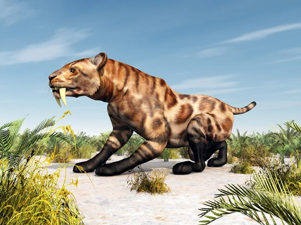 Saber-Tooth Cat Hunt — Stock Photo © CoreyFord #29697871