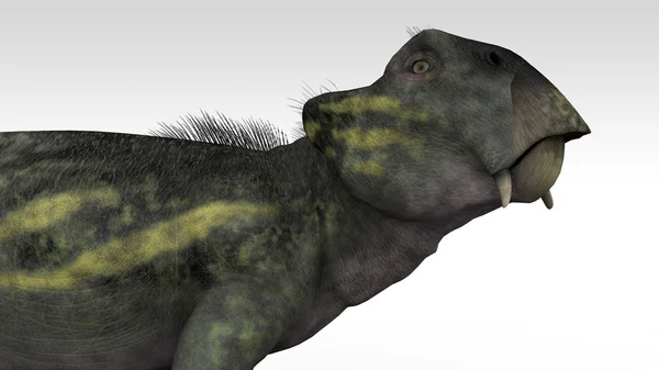 Imágenes de Lystrosaurus, fotos de Lystrosaurus sin royalties ...