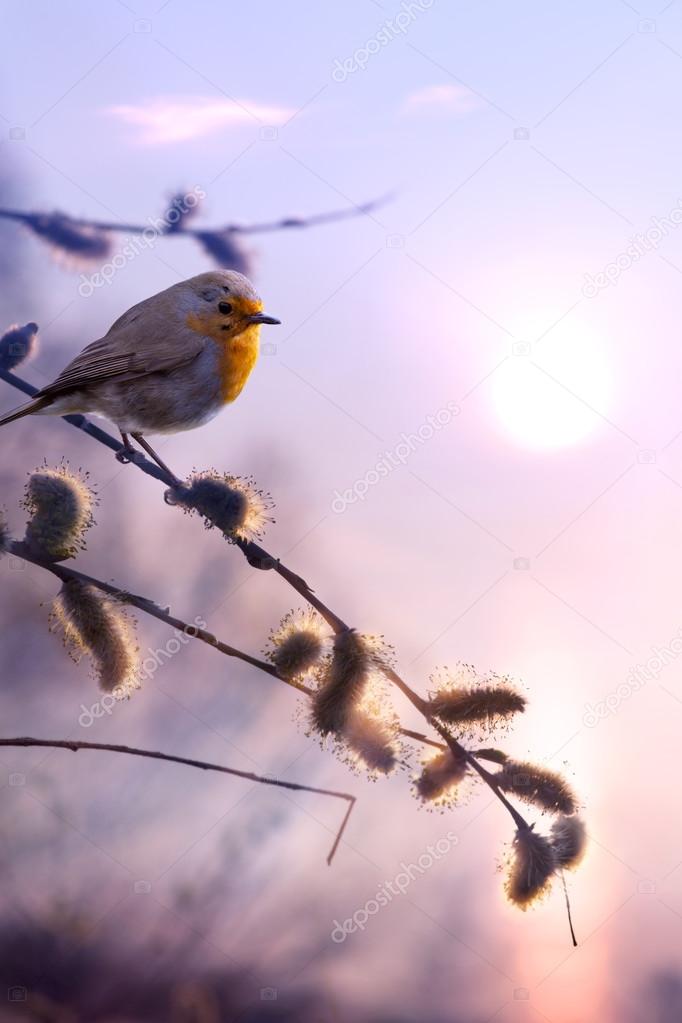 Art beautiful spring morning nature background — Stock Photo ...