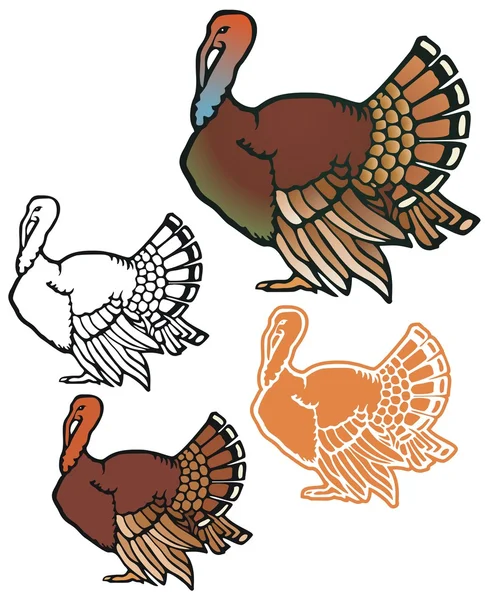 Turcja kontur Vector Art Stock Images | Depositphotos