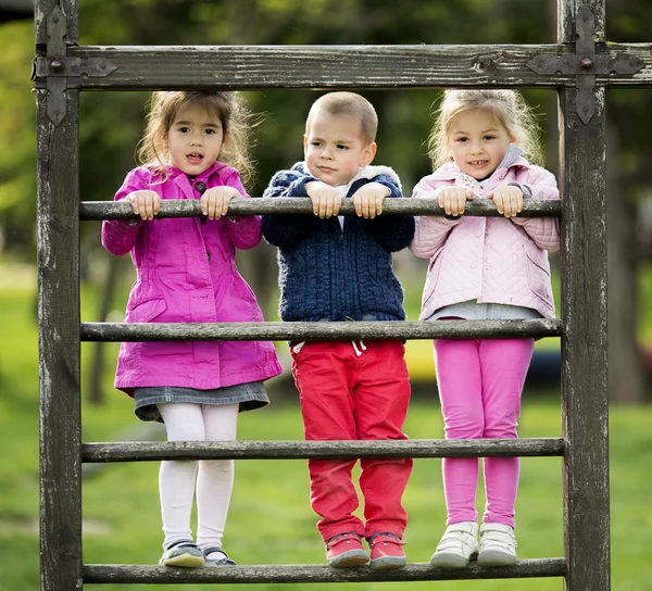 Kids ladder Pictures, Kids ladder Stock Photos & Images | Depositphotos®