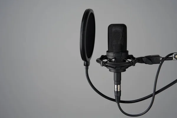 Black Studio Condenser Microphone Pop Filter Isolated White Background ...