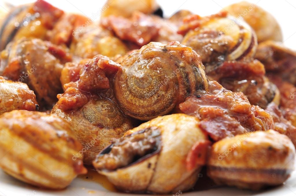 Spanish cooked snails in sauce Stock Photo by ©nito103 13593759