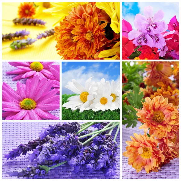 Floral collage Stock Photos, Royalty Free Floral collage Images ...