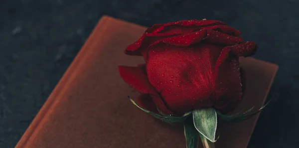 Libro y rosa fotos de stock, imágenes de Libro y rosa sin royalties ...