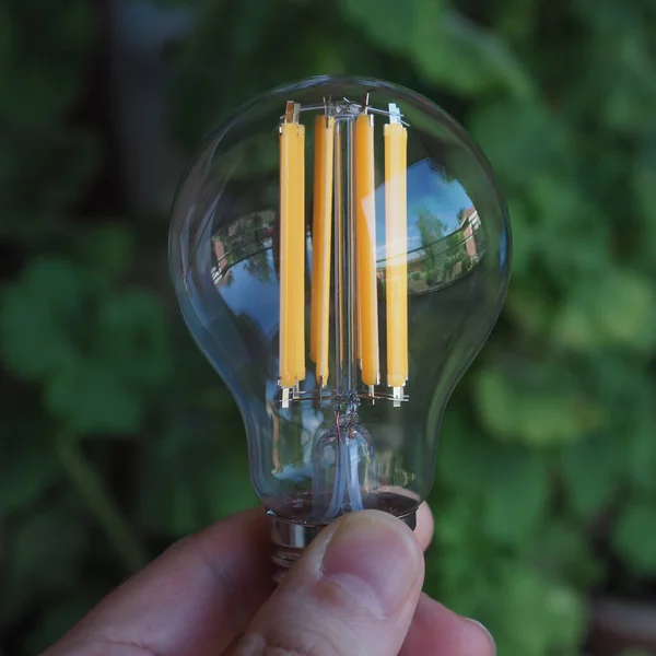 modern energy saving led bulb against green leaves - Stock Image ...