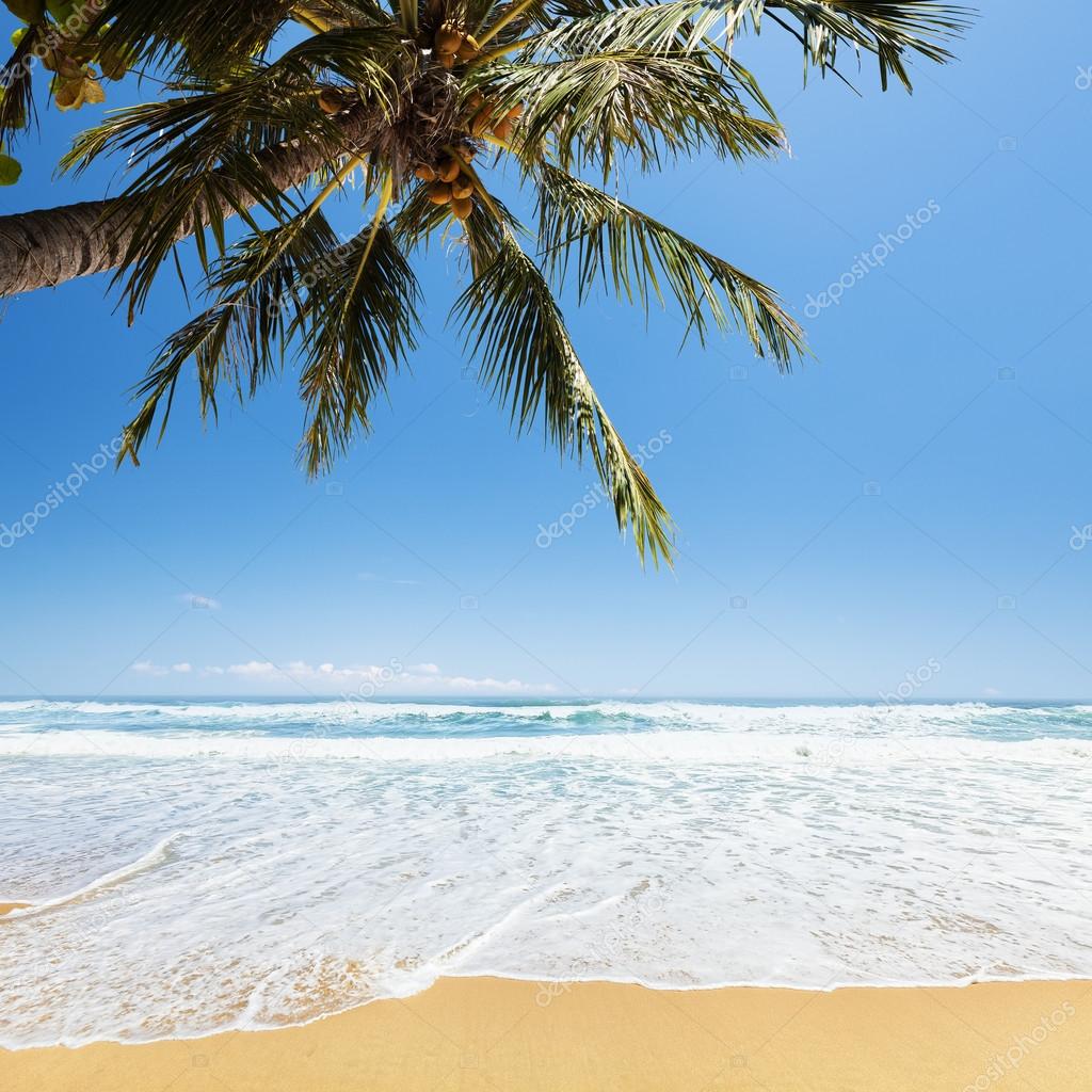 Tropical beach. Square composition. — Stock Photo © vladmoses #22455687