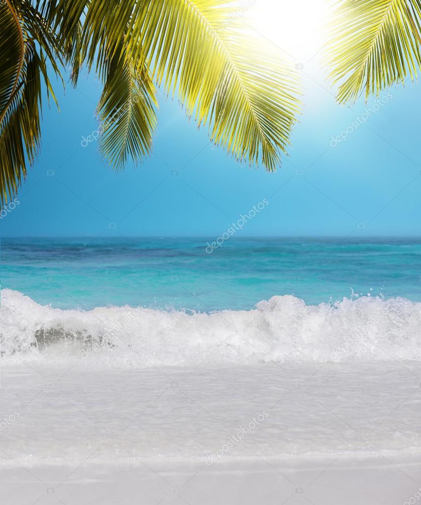 Tropical Paradise. Vertical composition. — Stock Photo © vladmoses ...
