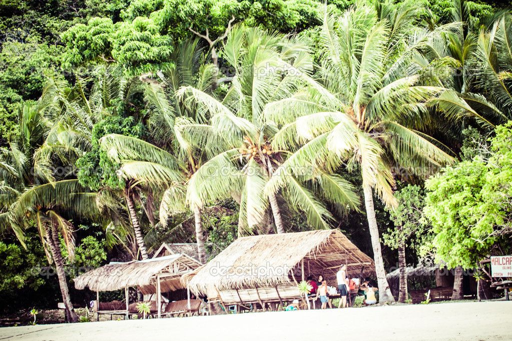 Green tree on a white sand beach. Malcapuya island, Coron, Philippines ...