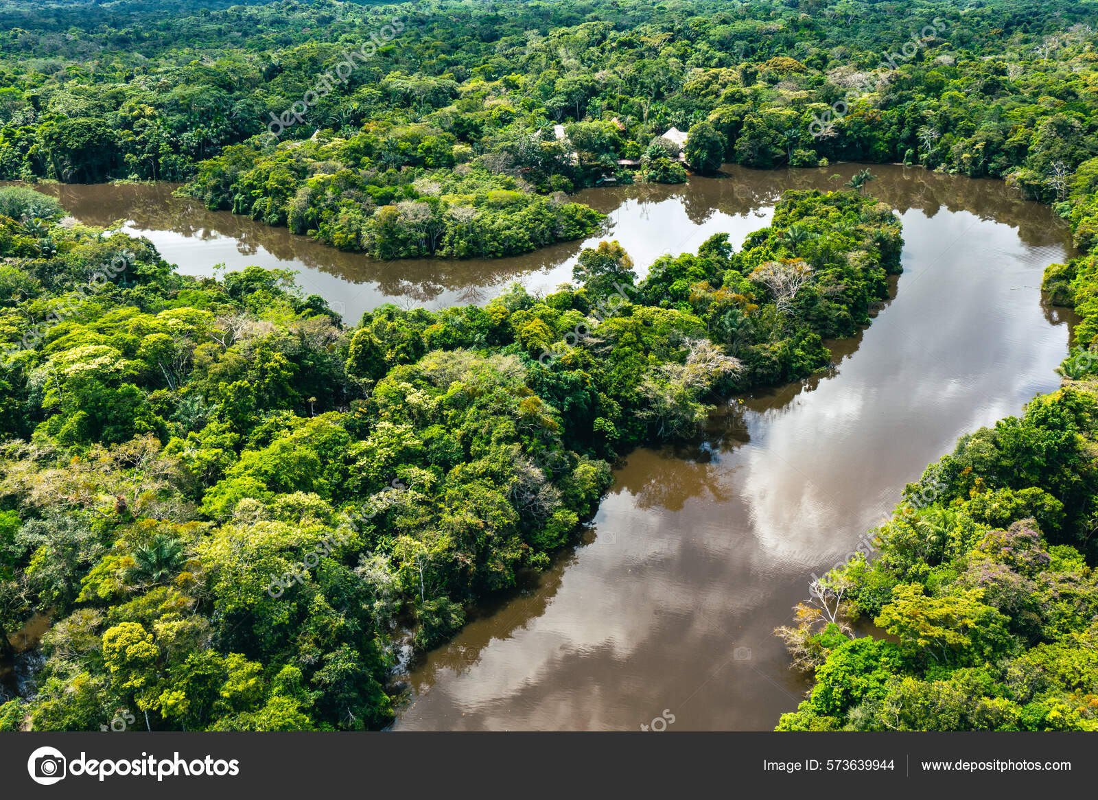 Aerial View Amazon Rainforest Peru South America Green Forest Bird's ...