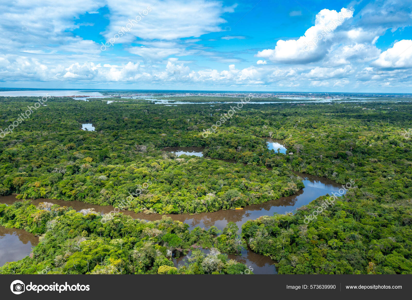 Aerial View Amazon Rainforest Peru South America Green Forest Bird's ...