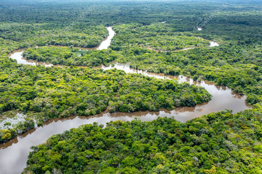 Vista aérea de la selva amazónica en Perú, América del Sur. Bosque ...