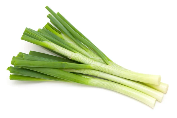 Spring onion Stock Photos, Royalty Free Spring onion Images | Depositphotos