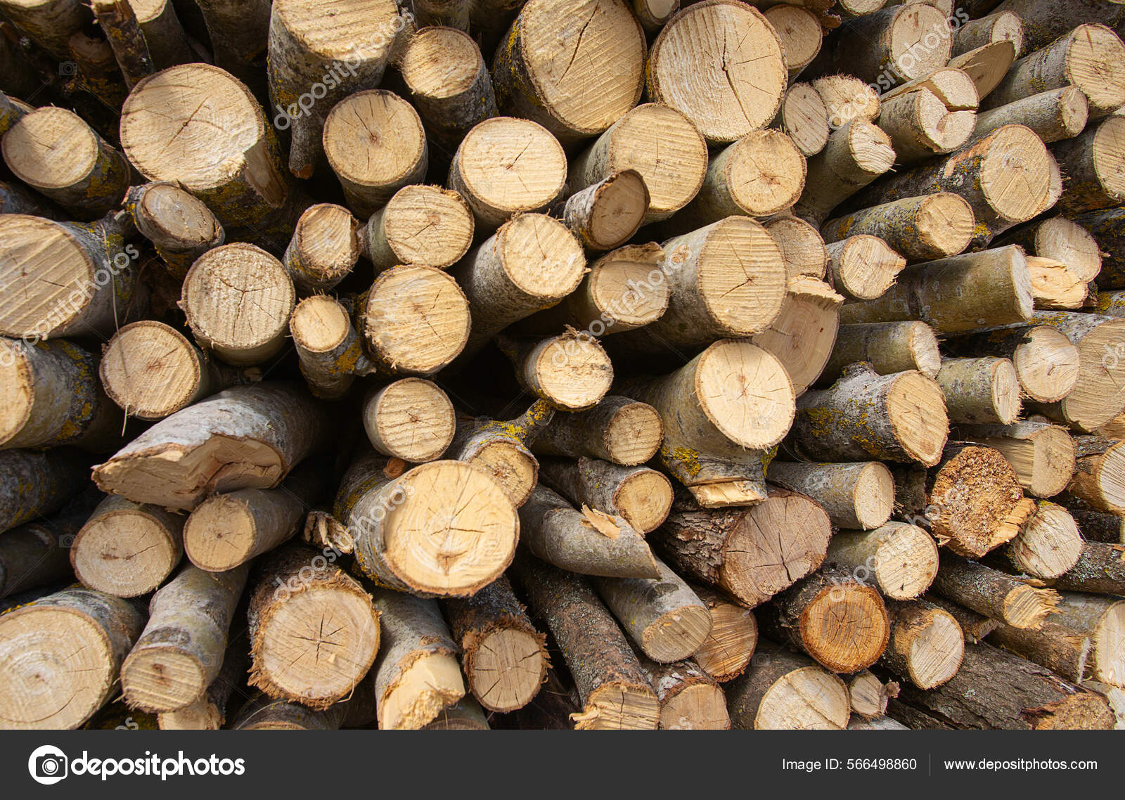 Stacked Loggs Fire Wood Texture Background Close Loggs Stock Photo by ...