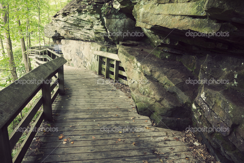 Sendero turístico en el Parque Nacional Valle de Cuyahoga 2024