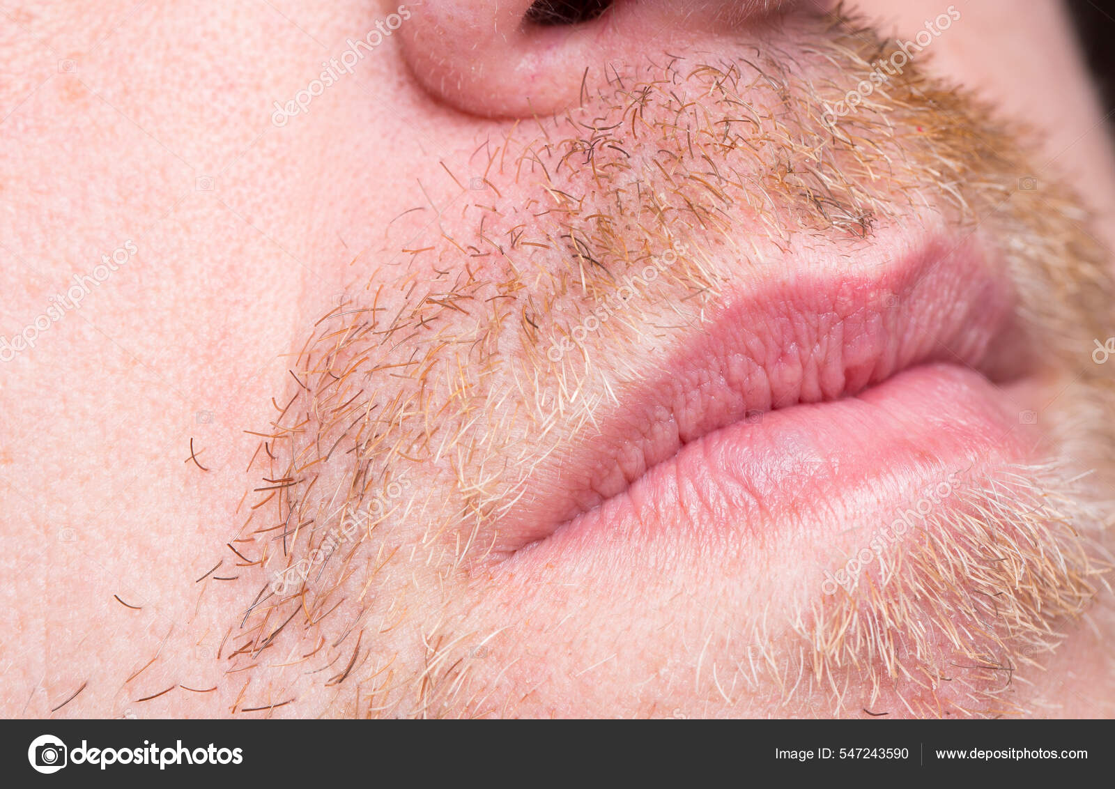 Male Mustache Red Beard Macro — Stock Photo © Fenixfoto1985 #547243590